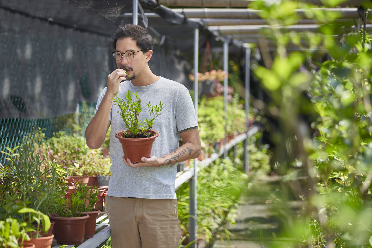Meet the local farmers growing vegetables in underused spaces to feed S’pore sustainably | The ...